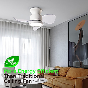 Roomratv Ceiling Fans with Lights 22 inch Quiet Ceiling Fan Large Airflow Remote Control 3 Color Temperature for Bedroom Kitchen Dining Room Patio（White）