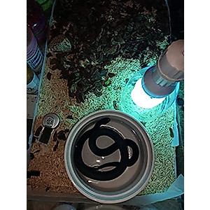 PTCCTV UVB Reptile Light Bulb 5.0 Turtle Lamp Energy Saving Compact Fluorescent Bulbs for Tropical Rainforest Amphibians Pet aquarium Fish Lizard Snake,E27 Screw (UVB5.0 13W)