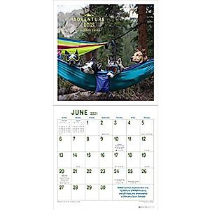 Adventure Dogs 2021 Calendar