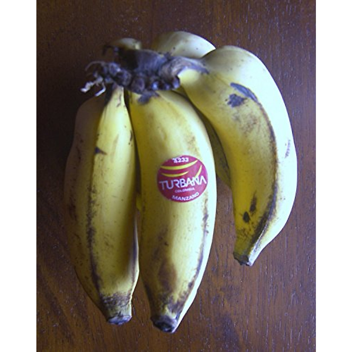 Manzano "Apple" Banana Plant - RARE - Live Banana TreeRARE