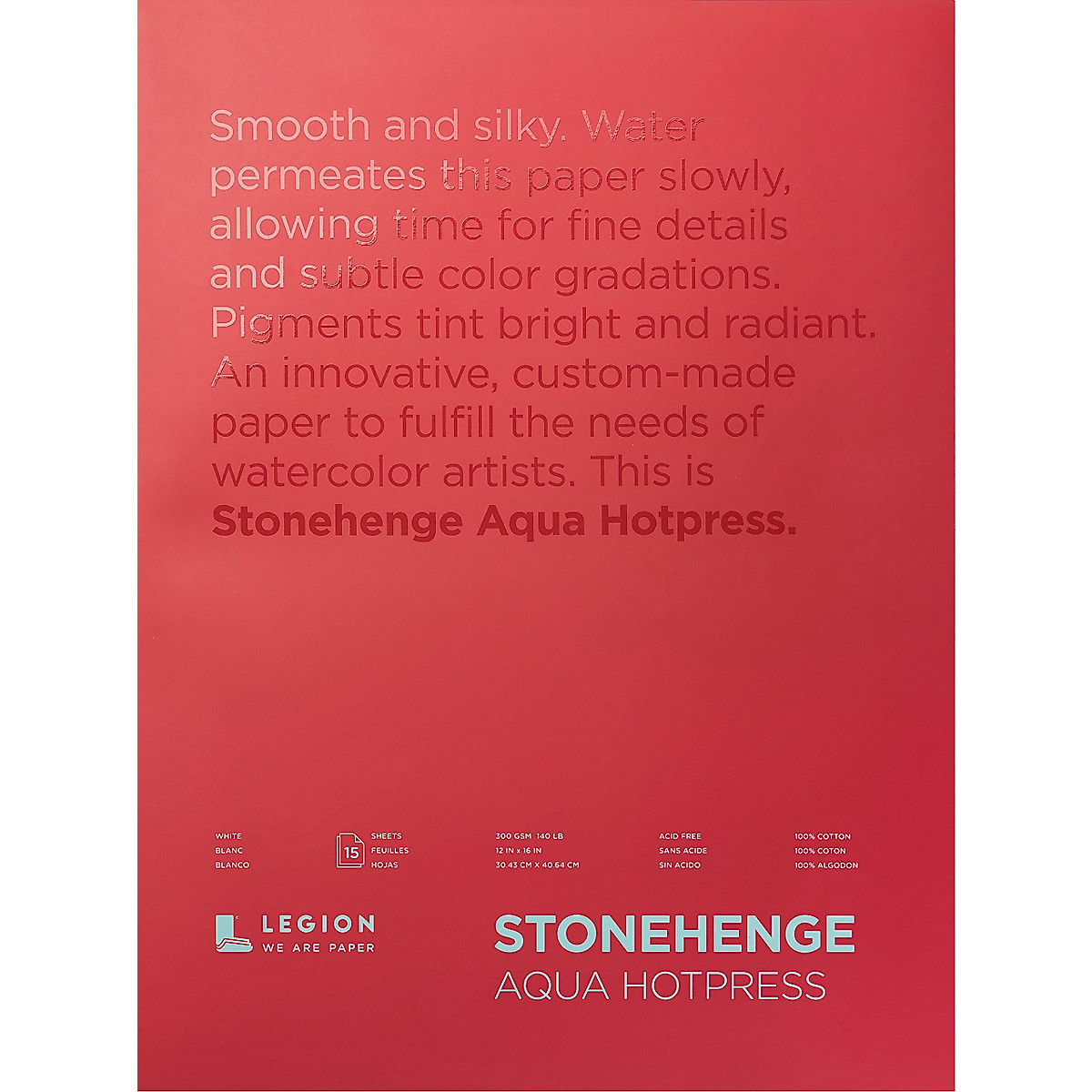 Legion Paper Painting and Drawing, 10x14, Multicolor