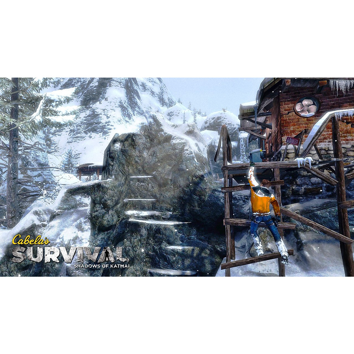 Cabelas Survival: Shadows of Katmai - Nintendo Wii