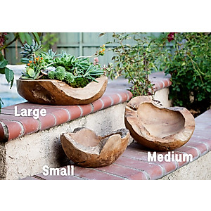 Garden Age Supply Hand Sculpted Natural Reclaimed Teak Wood Bowl Planter (Medium)