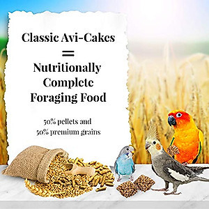 LAFEBER'S Classic Avi-Cakes Pet Bird Food, Made with Non-GMO and Human-Grade Ingredients, for Cockatiels Conures Parakeets (Budgies) Lovebirds, 8 oz