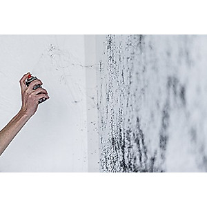 Montana Cans Montana BLACK 150ml Spider Effect Color, Spray Paint, 5.07 Fl Oz (Pack of 1)