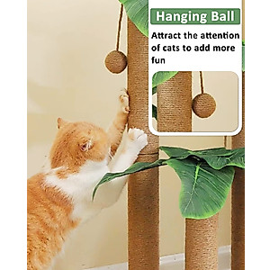 BNOSDM 35" Tall Cat Scratching Posts for Adult Cats Coconut Tree 3 Sisal Rope Claw Scratcher Dangling Ball Kitten Scratch Post Kitty Activity Center for Indoor Outdoor Cats Kittens