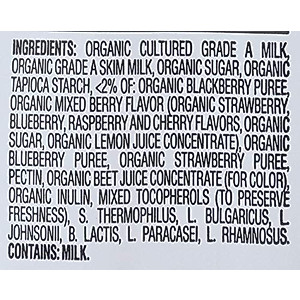 Happy Baby Organic Mixed Berry Yogurt Snacks, 1 OZ