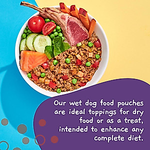 MOOCHIE Home Cooked Superfood Wet Dog Food - Joint & Bone - Lamb, Sweet Potato & Spinach - No Artificial Flavors or Preservative - 6 x 9 oz Pouch