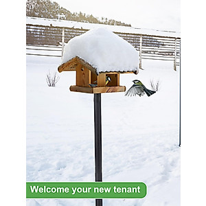 Upgraded Thicken Bird Feeder Pole for Outdoors - Easy to Assemble Heavy-Duty Bird House Stand for Blue Bird, 60in 5 Prongs Base Adjustable Stand Pole Mount Kit