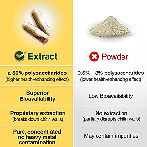 LABO Nutrition Bioactive Organic Cordyceps Ultra – 8 Medicinal Mushroom Supplement, Cordyceps, Reishi, Turkey Tail, Maitake, Agaricus blazei, Shiitake, for Immunity, Energy, Stamina, No Fillers