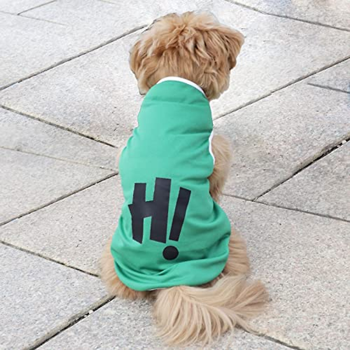 Dog Shirts Pets T-Shirt Soft Breathable Dogs Clothes for Small and Medium Dogs (Green, Large)