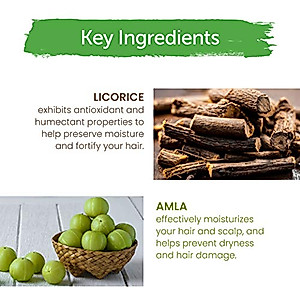 Himalaya Gentle Daily Care Protein Shampoo for Soft, Shiny, Healthy-Looking Hair, 13.53 oz, 2 Pack