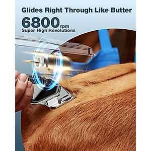 oneisall Dog Clippers for Grooming for Thick Heavy Coats/Low Noise Dog Grooming Kit/Rechargeable Cordless Pet Shaver with Stainless Steel Blade/Waterproof Dog Shaver for Dogs Pets and Animals Sliver