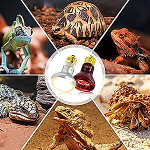 REPTIZOO 75W Reptile Heat Lamp Bulb, 2PCS Day & Night Basking Spot Light Combo Pack Includes Infrared Heat Lamp and UVA Daylight Heating Lamp Basking Light