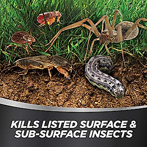 Amdro Kills Ants &amp; Spiders Granules Shaker Bag 3lb