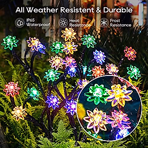 KOOPER 4 Pack Solar Garden Lights with Bigger Lily Flowers & 4 Pack Solar Garden Lights