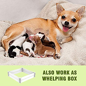 Kdgarden Raised Garden Bed Kit 4'x4' Outdoor Above Ground Planter Box for Growing Vegetables Flowers Herbs, DIY Gardening, Whelping Pen and More, Screwless White Vinyl Garden Bed with Grid