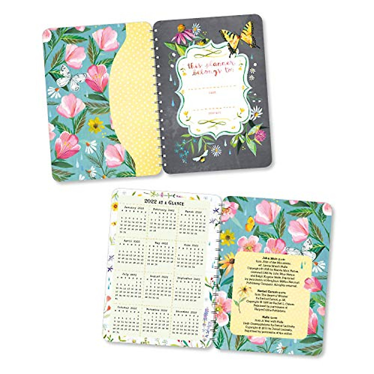 Katie Daisy 2021 On-the-Go Weekly Planner: 17-Month Calendar with Pocket (Aug 2020 - Dec 2021, 5" x 7" closed): Hello Beauty