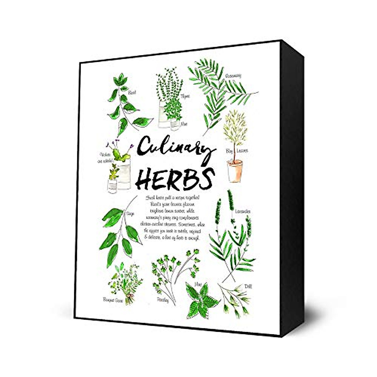 Culinary Herbs