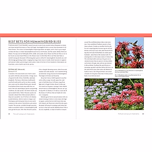 The Hummingbird Handbook: Everything You Need to Know about These Fascinating Birds