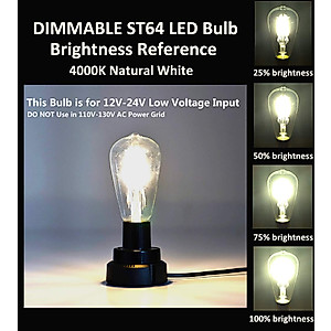 OPALRAY 12V 24V DC Input 8W LED Bulb, ST21(ST64) Style, Dimmable with 12V DC Dimmer, 4000K Bright Neutral White Light, E26 Medium Base Lamp, 80W Incandescent Equivalent, for Low Volt 12V Power, 3 Pack