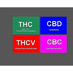 What If Cannabis Cured Cancer