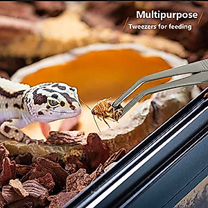 GKPONSX 2 Pack Reptile Food Bowls, Imitating Rock Design Water Dish and Feeder Food Bowls with Tongs Bug Scooper for Leopard Gecko Snake Lizard Turtle Chameleon
