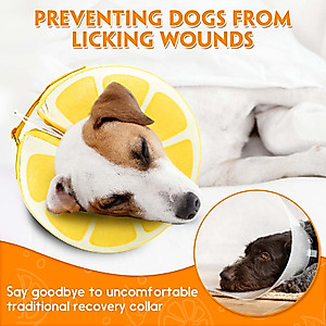 SuplutuX Inflatable Dog Cone, Protective Inflatable Collar for Jumbo Dogs, Soft Adjustable Pet Cone Alternative After Surgery for Wound Healing and Prevent from Biting or Scratching,XL(18"-22.5")