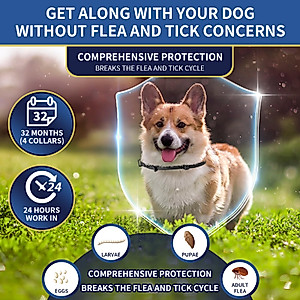 4 Pack Flea Collar for Dogs, Flea and Tick Collar for Dogs Puppies, 32 Months Flea and Tick Prevention for Dogs, Dog Flea Collar, Dog Flea and Tick Treatment-Black and Purple