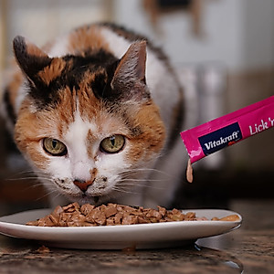 Lick 'n' Lap Snack with Salmon Cat Treat, Value-Pack 40pk