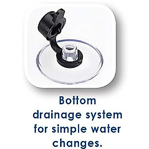 PENN-PLAX Rite-Bite Educational Betta Tank – A Perfect First Aquarium for Children with Adult Supervision – 1.13 Gallon