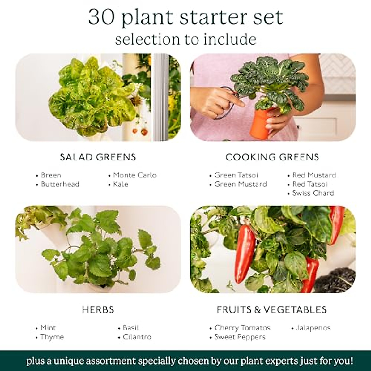 Gardyn 3.0 Hydroponics Growing System & Vertical Garden Planter - Includes 30 Non-GMO Indoor Plants, Herbs & Vegetables for Your Home Indoor Gardening System | Next Generation of Indoor Smart Gardens
