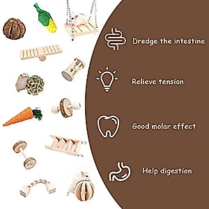 Bipily Hamster Chew Toys 12 Pack Natural Wooden Pet Toy Small Pets Teeth Care