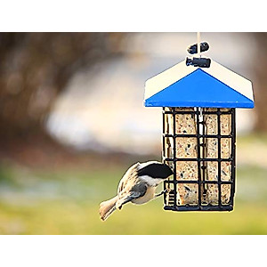 Heath Outdoor Products, Value Pack - DDB2-18 Berry Suet Cake - 11 oz. - Pack of 18, Natural