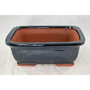 Rectangular Shohin Bonsai/Cactus & Succulent Pot 8"x 6"x 3" - Navy Blue Glazed