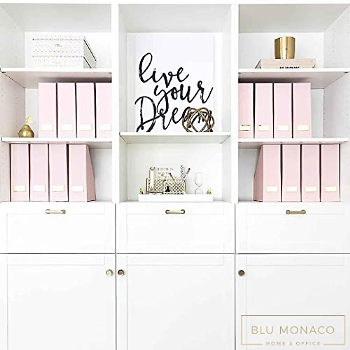 BLU MONACO Set of 6 Foldable Pink Cute Magazine Holders with Gold Label Holders - Stylish Magazine Storage for Desk, Shelves, and Closets - Book Bins, Files Organizers and Document Storage