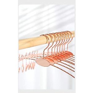 LOVENJOY Clothes Hooks Hangers Rack Metal Alloy Rose Gold for Underwear Bra Pants with Non Slip Clips for Laundry Lingerie Shop Display, 2 Pcs