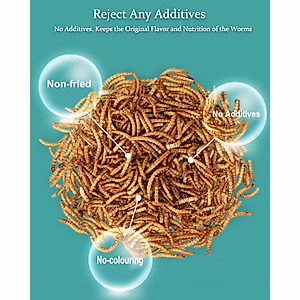 Reptile Food Dried Mealworms Pet Worms Food for Bearded Dragon, Lizard, Turtles, Chameleon, Monitor, Frog, Sugar Glider, Chickens, Birds, Hamsters and Hedgehogs (3.5 OZ)
