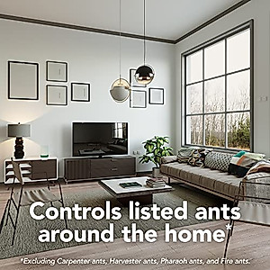 Raid Max Liquid Ant Bat; Kills Ants Where They Breed, For Indoor and Outdoor Use; 4 Bait Stations