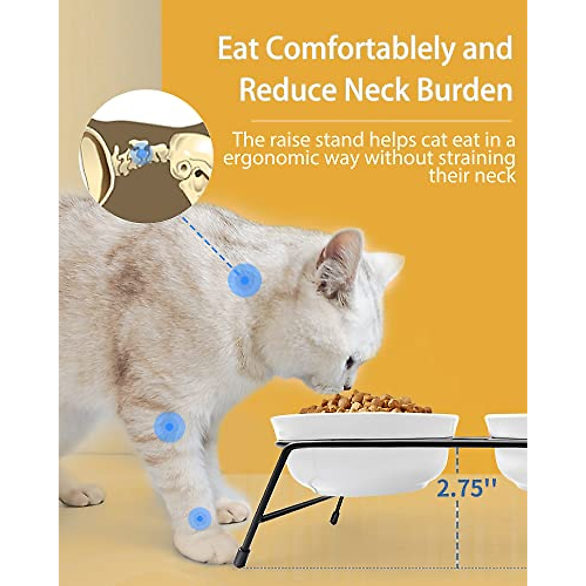 Cat Bowls, Upgraded 13 oz Ceramic Elevated Cat Food Bowls for Food and Water, Raised 2 Cat Dishes with Stainless Steel Stand Non-Slip and Anti-Rust, for Indoor Cats and Small Dog Bowl, Dishwasher Safe