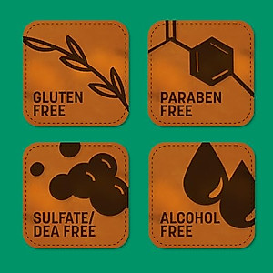 Framesi Barber Gen Leave In Conditioner, 3.4 fl oz, Beard and Hair Conditioning Spray