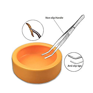 2 Pack Worm Dish Reptile Food Bowl Bearded Dragon Ceramic Bowl with Feeding Tongs (Yellow-Large)