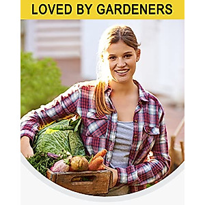 Cardboard Bee Nesting Tubes 2 Pack, 220 Piece Mason Bee Tube Refills for Beekeepers, Bee Hotel and Mason Bee House Replacement Refill Tube Inserts, 5 Inches