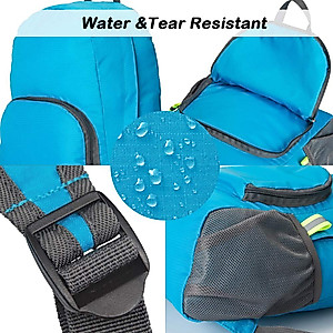 DaKuan Pack of 2 Lightweight Foldable Backpack, Water Resistant Travel Hiking Packable Backpack 20 Liters (Black & Blue) for Camping, Outdoor, Travel Cycling