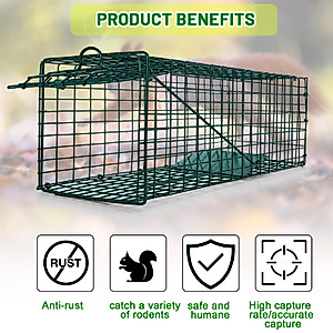 Qualirey 2 Pcs Humane Squirrel Trap Heavy Duty Live Animal Chipmunk Trap Catch and Release Rat Trap for Outdoor Small Animals Mouse Raccoon Stray Cat Rodent Weasels (16 x 5 x 5 Inch)