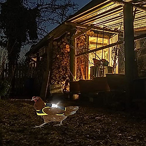 TTBDWiian Pet Clothes Hangers Chicken Saddle Hen Apron for Poultry Back Wing Pet Reflective Vest Adjustable Hen Saddle Apron