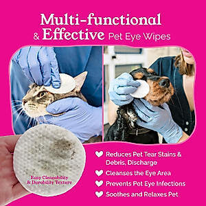 Biidey Dog Eye Wipes, Tear Stain Remover for Dogs and Cats, Gentle Cleansing for Puppy Eyes, Removing Discharge Pet Face and Ears, Essential Grooming Supplies, Paw Cleaner Wipes (60 pcs)
