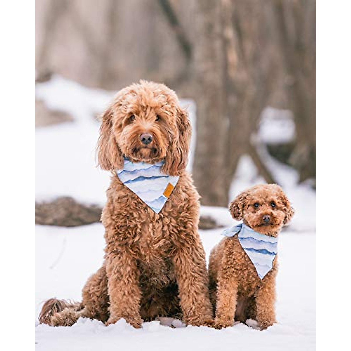 Remy+Roo Dog Bandanas - 4 Pack | Ryan Set | Premium Durable Fabric | Unique Shape | Adjustable Fit | Multiple Sizes Offered (Large)