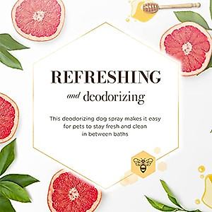 Burt's Bees for Dogs Refreshing Spray with Natural Grapefruit Fragrance Natural Dog Deodorizing Spray, pH Balanced for Dogs, Sulfate & Paraben Free, Made in The USA, 8 oz