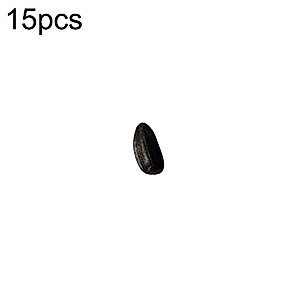 Iris Tectorum Rose Sunflower Cobaea Scandens Seed, 15Pcs Pink Sunflower Seeds Bonsai Plant Office Home Garden Yard Floral Decor - Pink Sunflower Seeds